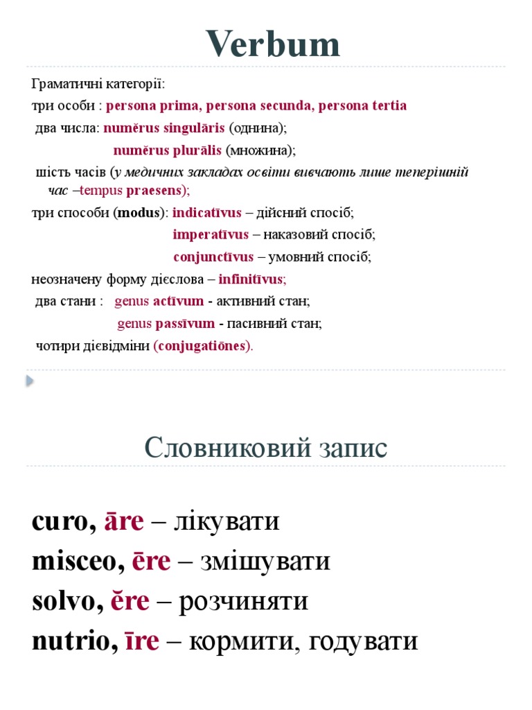 Презентация VERBUM | PDF