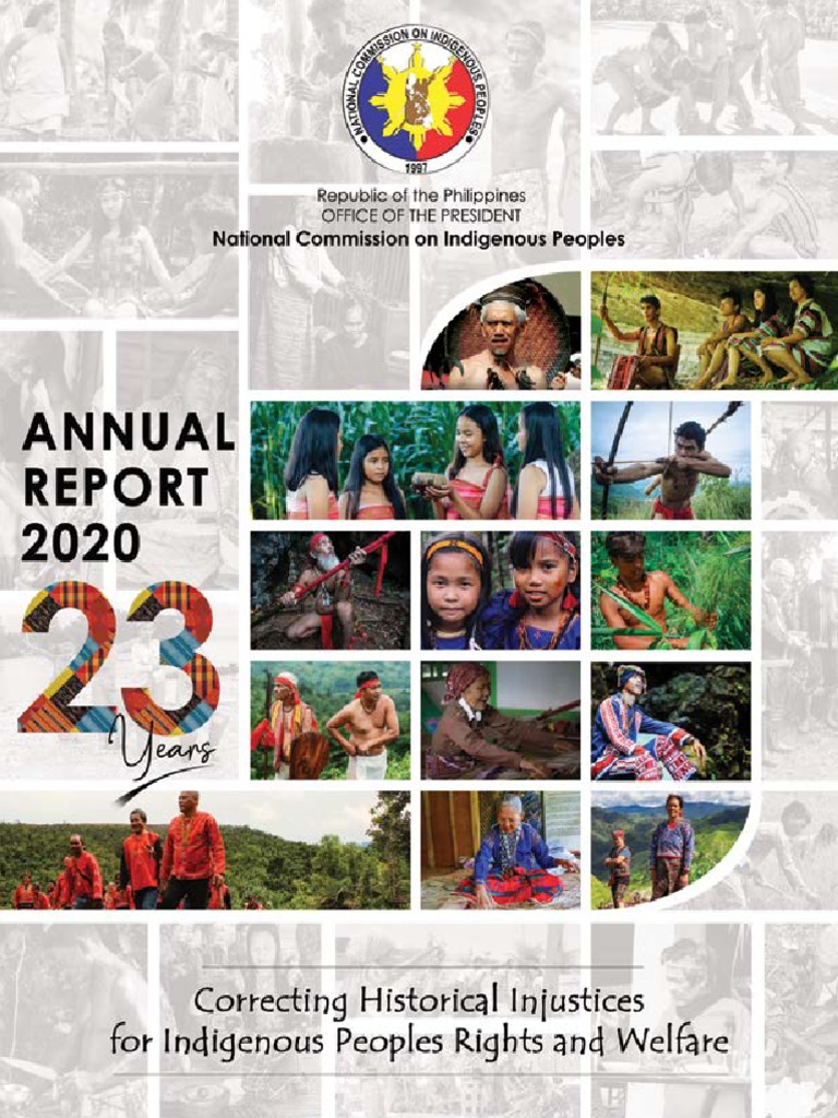 Annual Report 2020 | PDF | Intellectual Property | Rights