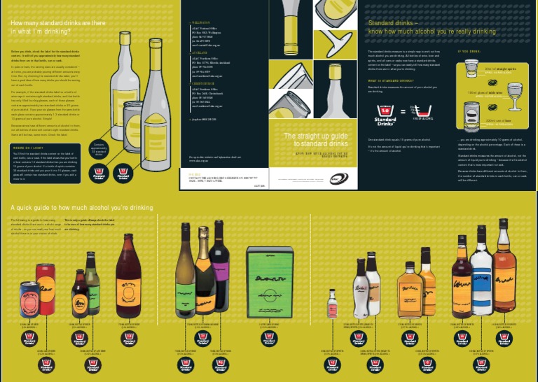 Understanding Standard Drinks Guide | PDF