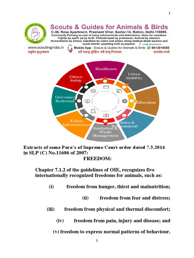 Scouting For Animals Preventing Them To Treat As Goods - Baby Viyana ...