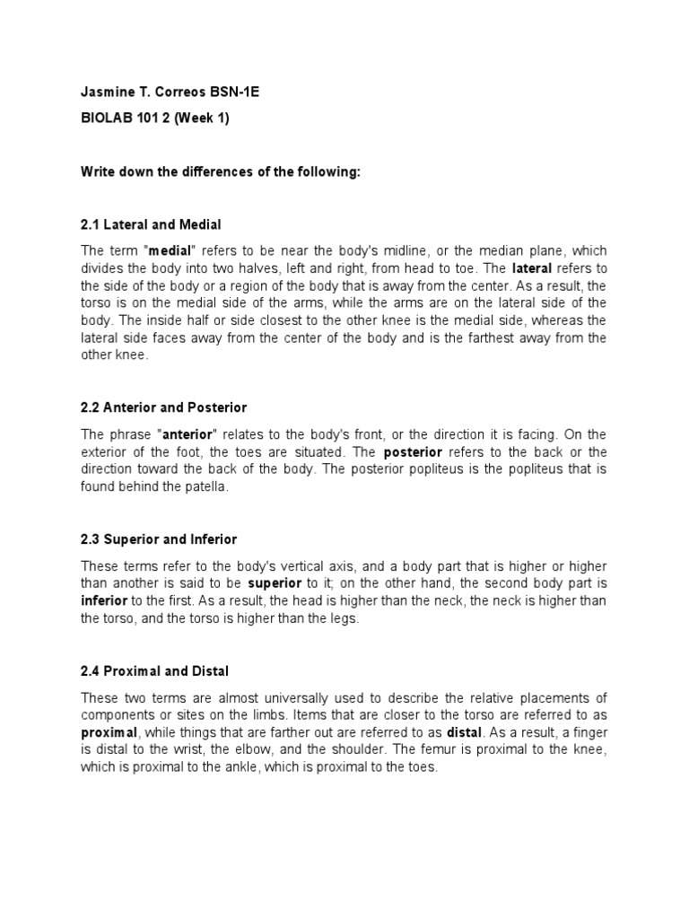 Bio 101 Lab 2 Pdf Anatomical Terms Of Location Vertebral Column 
