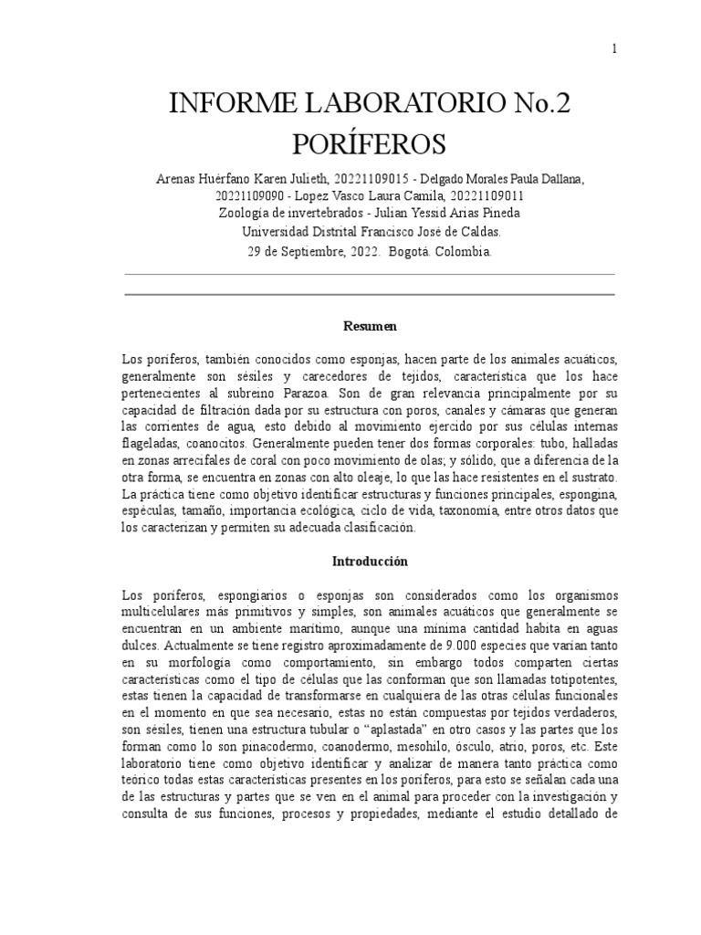 Informe 2, Poríferos | PDF | Esponja | Biología