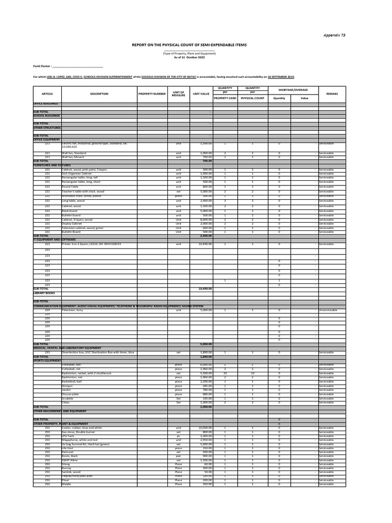 Report On The Physical Count of Semi-Expendable Items: Appendix 73 | PDF | Manufactured Goods ...