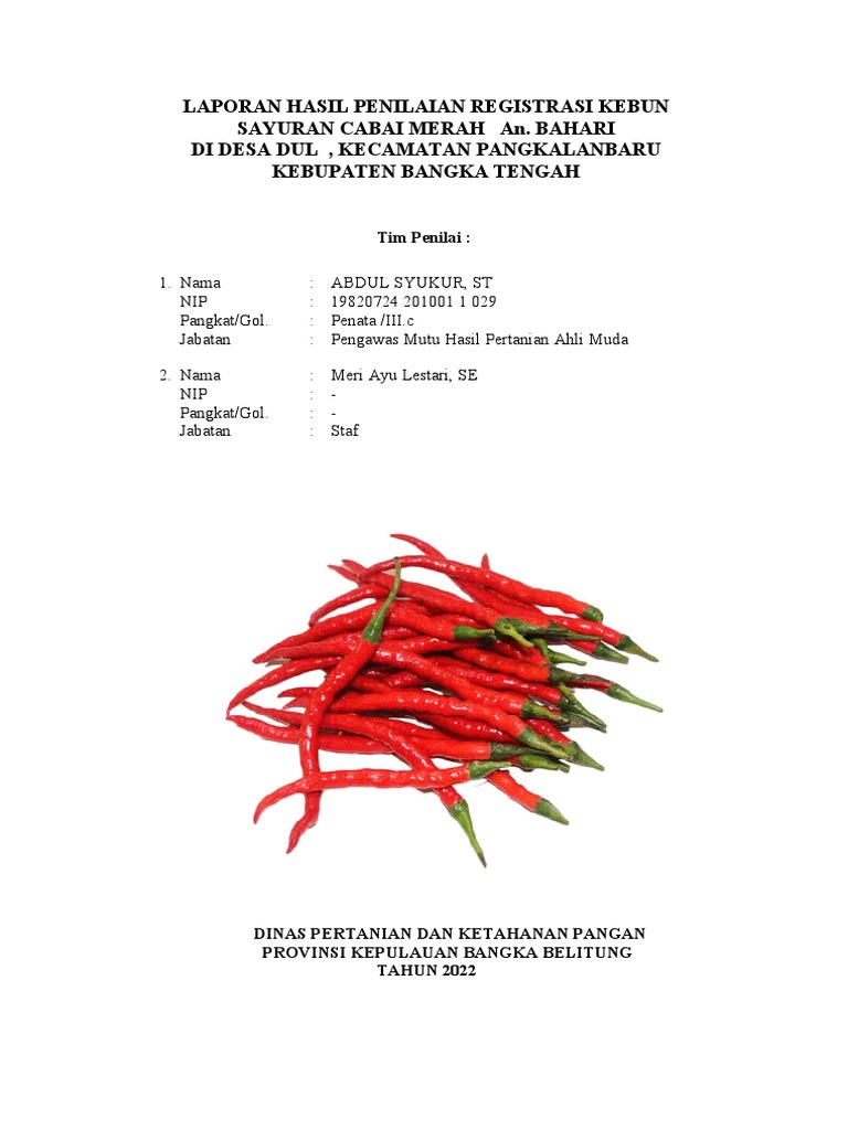 Penilaian Kebun Cabai Merah 2022 | PDF