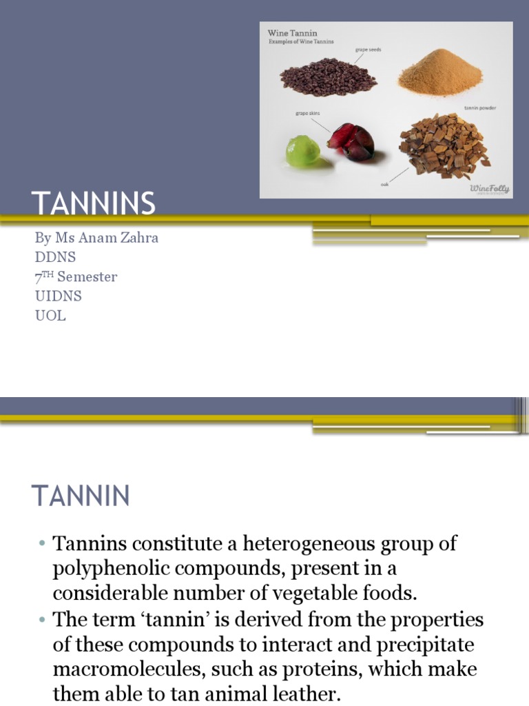 TANNINS | PDF | Phenolic Content In Wine | Polyphenol