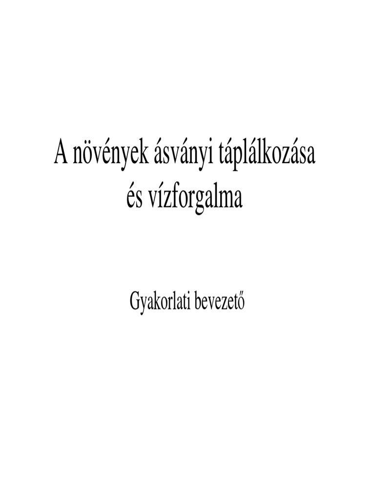 Vizion Bevezeto | PDF