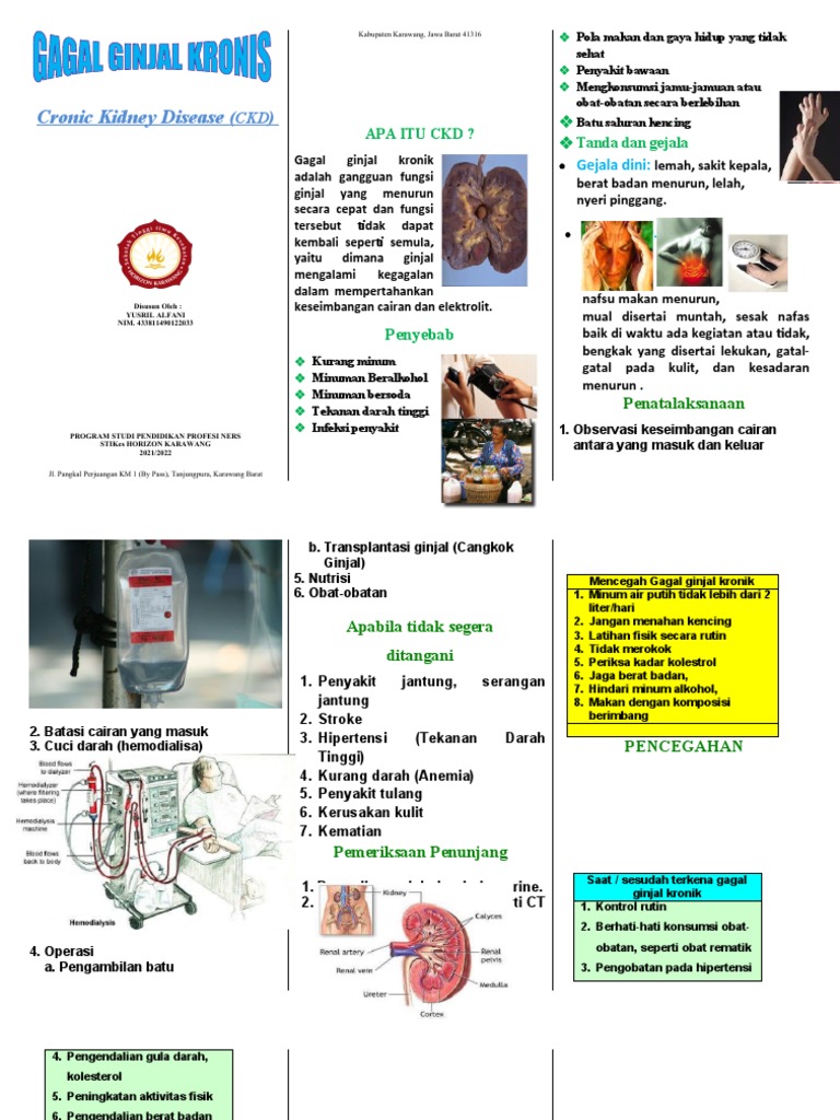 Leaflet CKD Doc | PDF