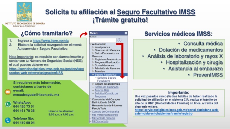 Seguro Facultativo IMSS Volante | PDF