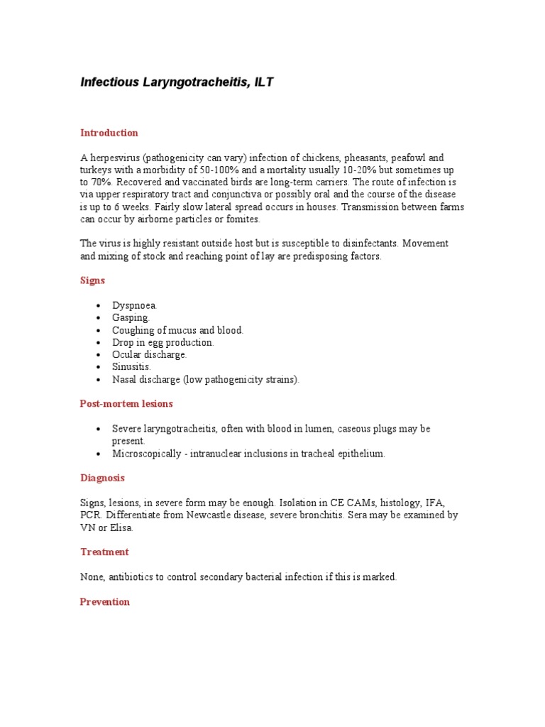 Infectious Laryngotracheitis in Poultry | PDF