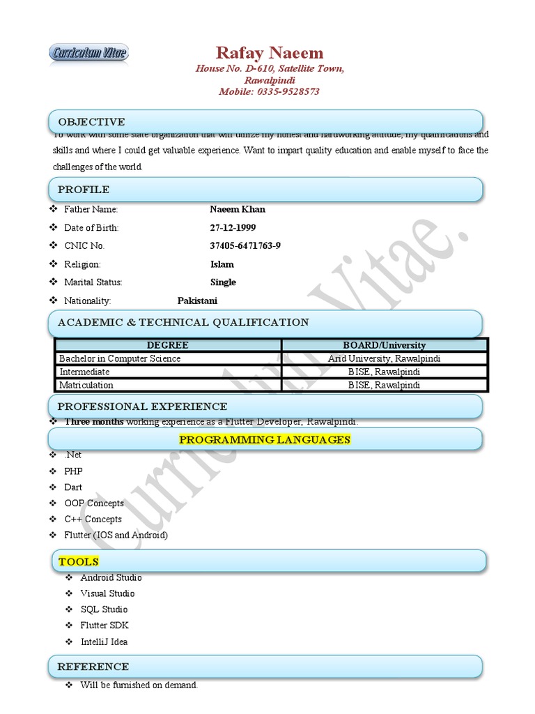 Rafay Naeem CV | PDF