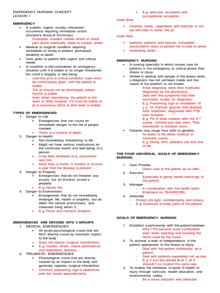 Emergency Room Nursing Concept | PDF