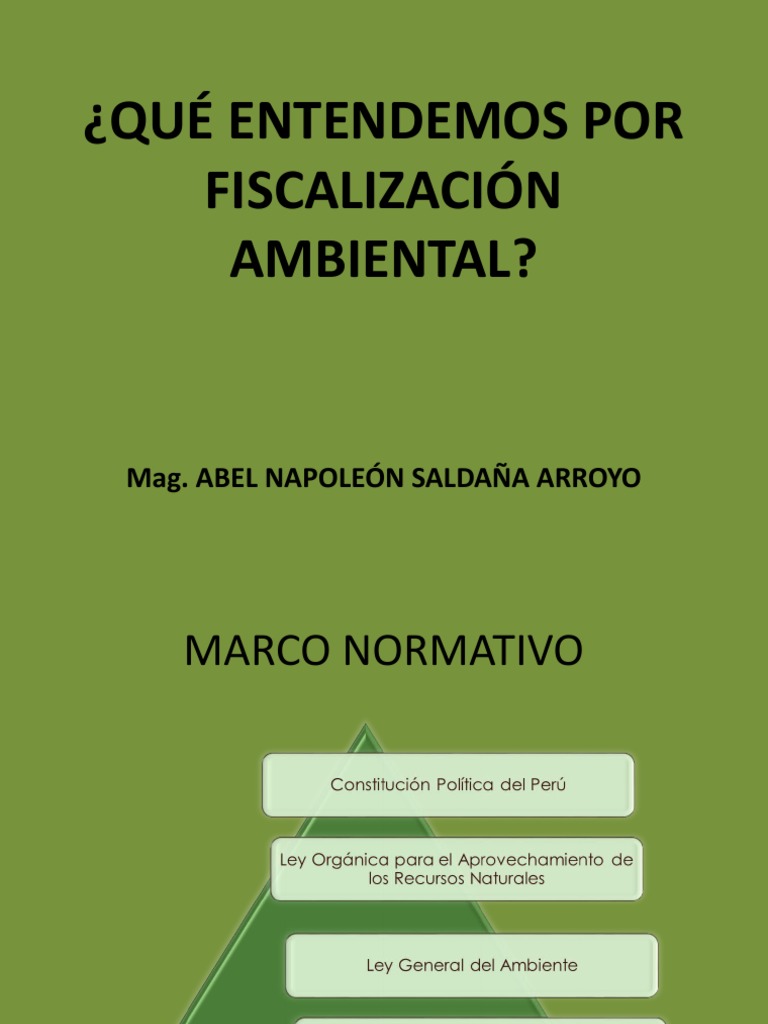 Ponencia Fiscalizacion Ambiental - Sinefa | PDF | Entorno natural ...