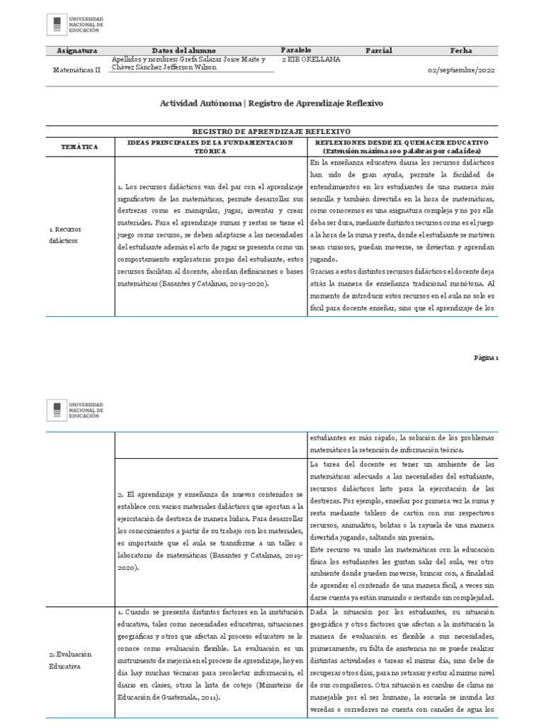 Formato para Elaborar El RAR - EIB 2022 AG JOICE Y JEFFERSON | PDF ...