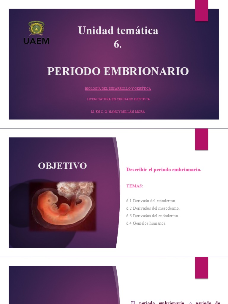 Desarrollo Periodo Embrionario | PDF | Gemelo | Reproducción