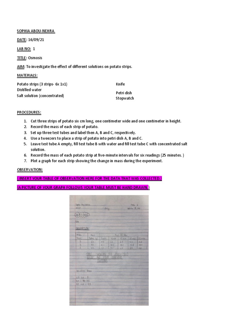 Potato Osmosis Experiment Analysis | PDF | Osmosis | Chemistry