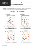 Video Recap of Osmosis by Amoeba Sisters Answer Set | PDF | Osmosis ...