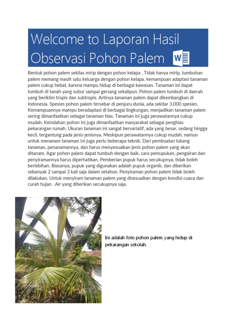 Welcome To Laporan Hasil Observasi Pohon Palem | PDF