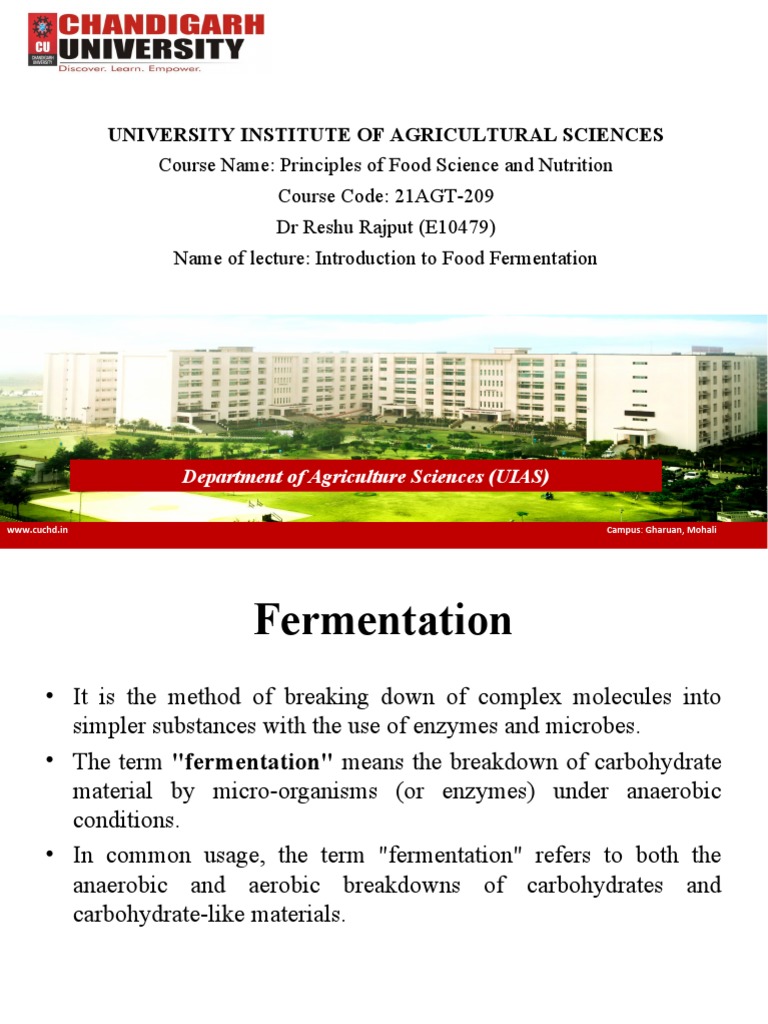 Lecture 2.2.3 Introduction To Food Fermentation | PDF | Fermentation | Cellular Respiration