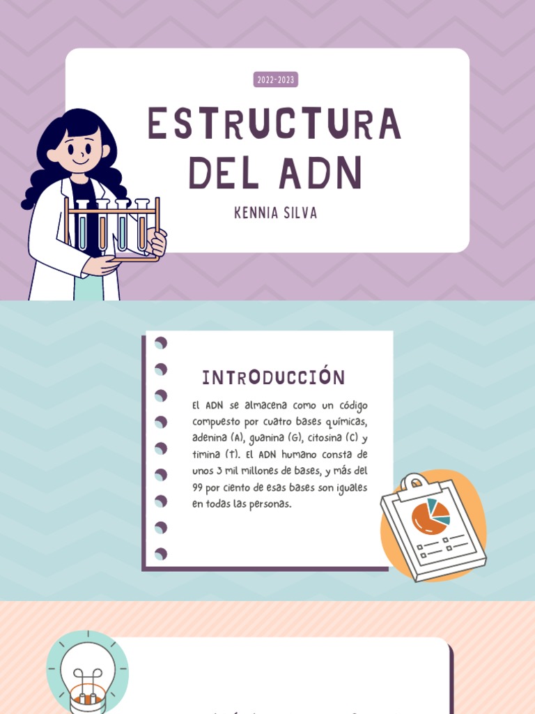 Estructura Del ADN | PDF