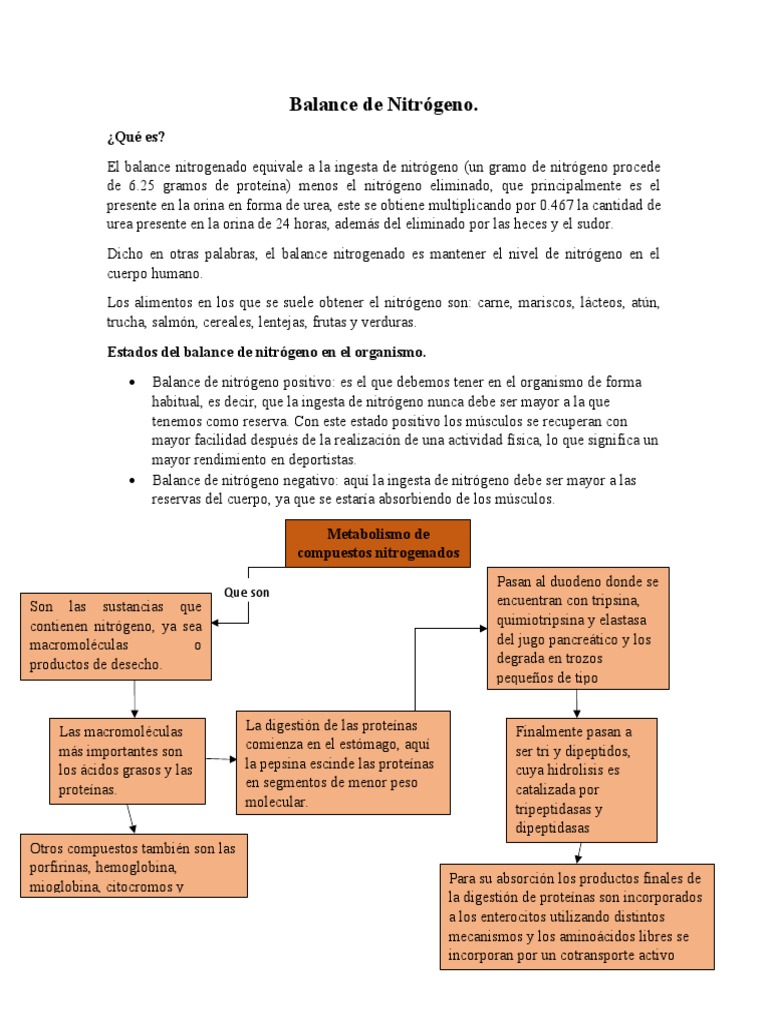 Balance de Nitrógeno en el Cuerpo | PDF | Digestión | Proteínas