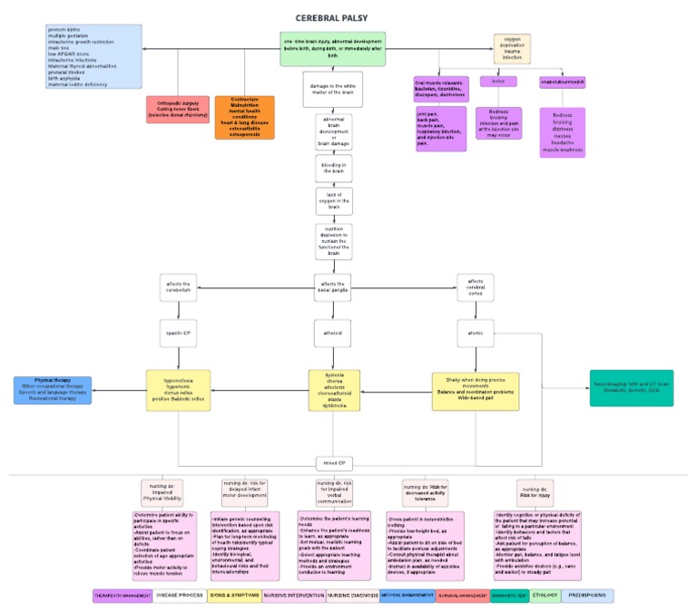 Cerebral Palsy | PDF | Cerebral Palsy | Human Diseases And Disorders