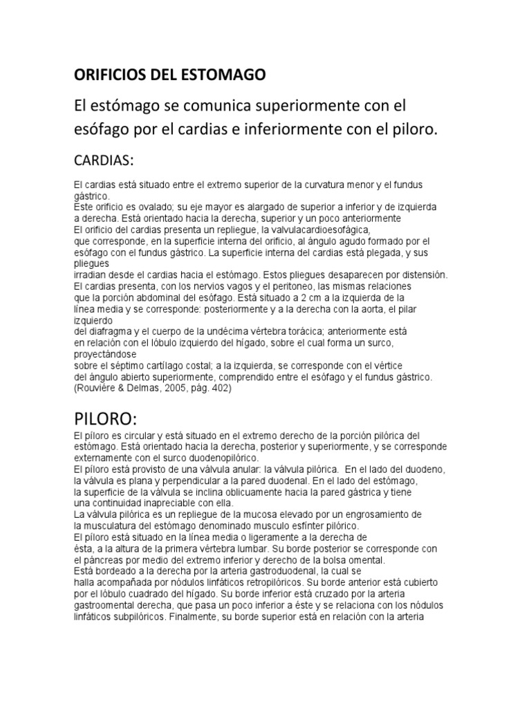 Anatomía del Cardias y Píloro del Estómago | PDF | Estómago | Órgano ...