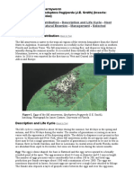 Maize Spray Program Overview | PDF | Maize | Weed
