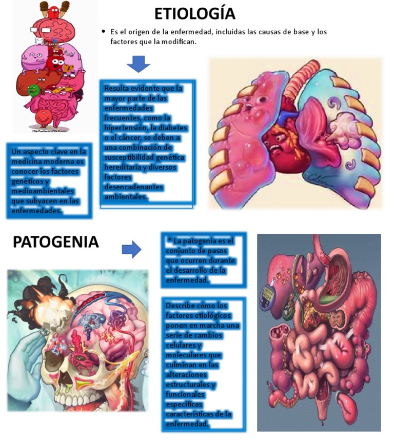 Etiologia y Patogenia | PDF