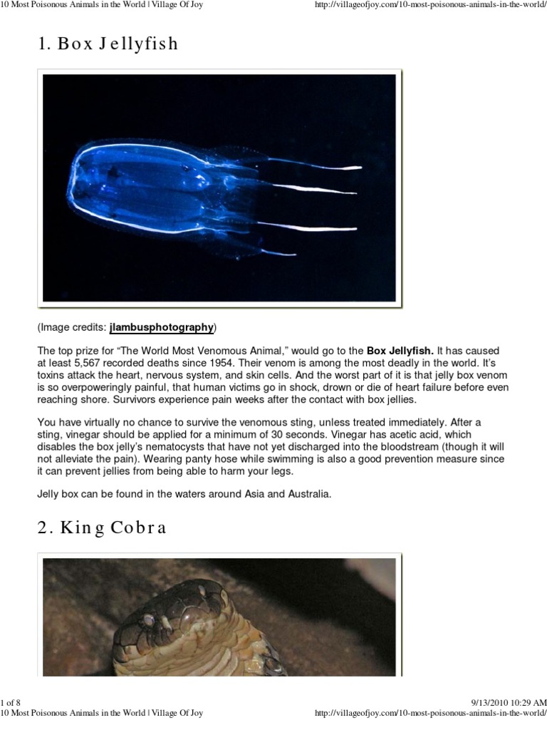 10 Most Poisonous Animals I.. | PDF | Venom | Organisms