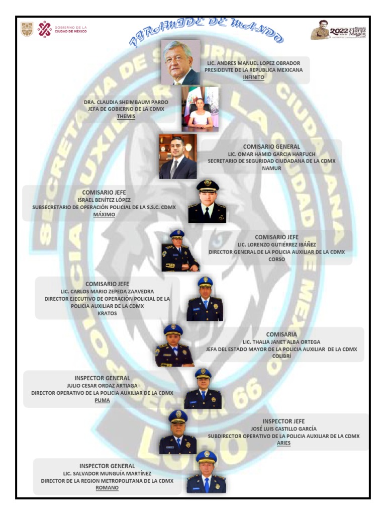 Piramide de Mandos 66 Junio-1 | PDF | Gobierno