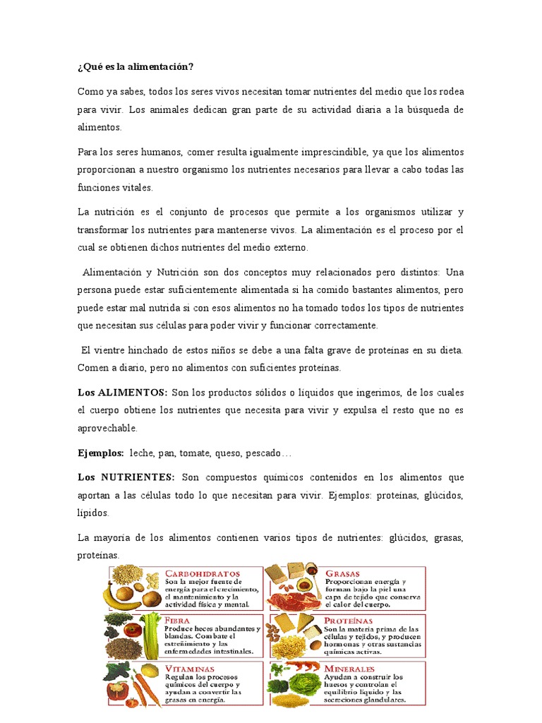 Conceptos Clave de Alimentación y Nutrición | PDF | Nutrientes ...