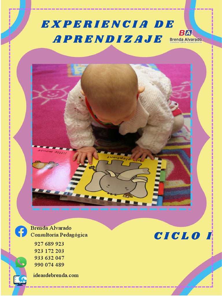 Ciclo I - Experiencias de Aprendizaje - 1 Año | PDF | Evaluación | Ciencia cognitiva