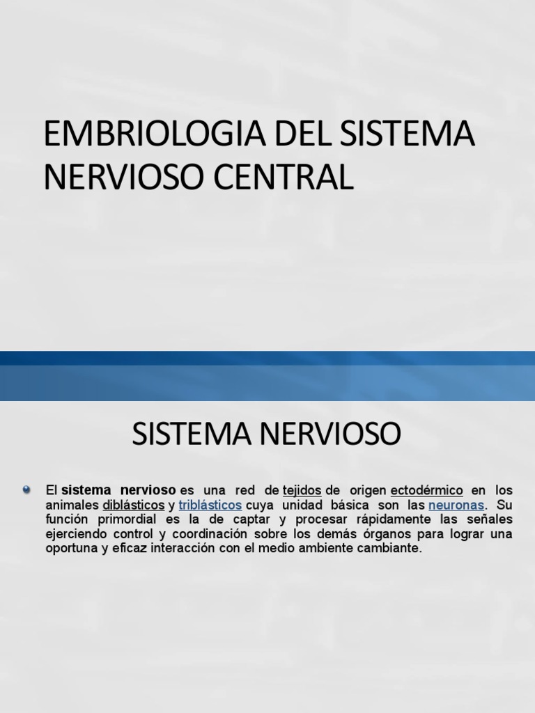 Embriologia Del Sistema Nervioso Central | PDF | Sistema nervioso | Cerebro