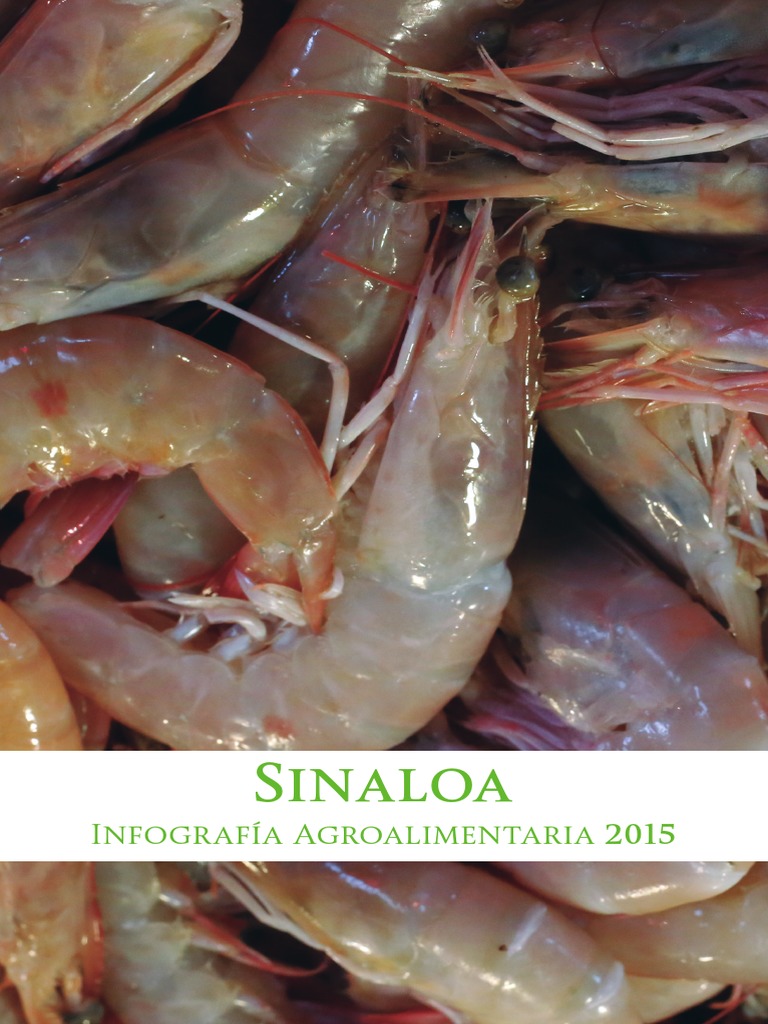 Sinaloa Infografia Agroalimentaria 2015 | Descargar gratis PDF | Clima ...