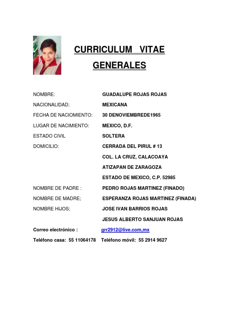 CURRICULUMVITAE | PDF | México | Economias