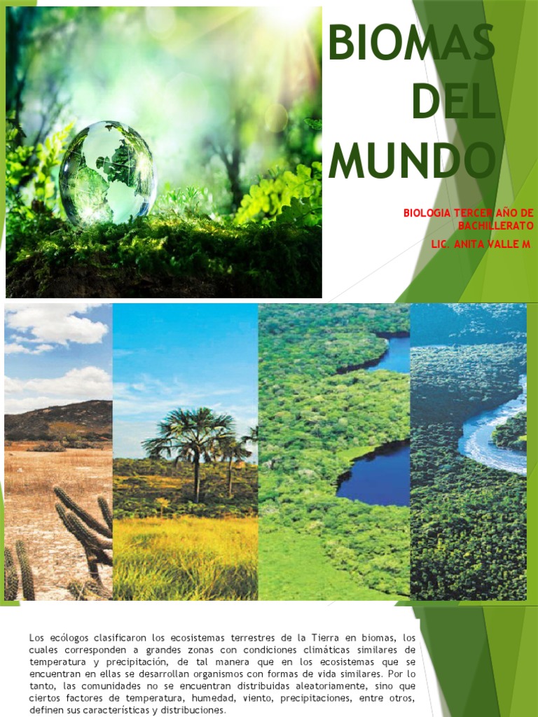 Biomas del Mundo: Selvas Tropicales | PDF | Selva | Geografía Física