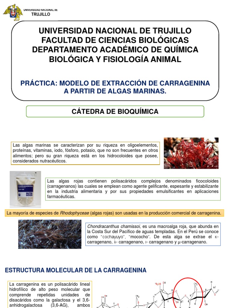 P12. Extracción de Carragenina | PDF | Precipitación (Química) | Química