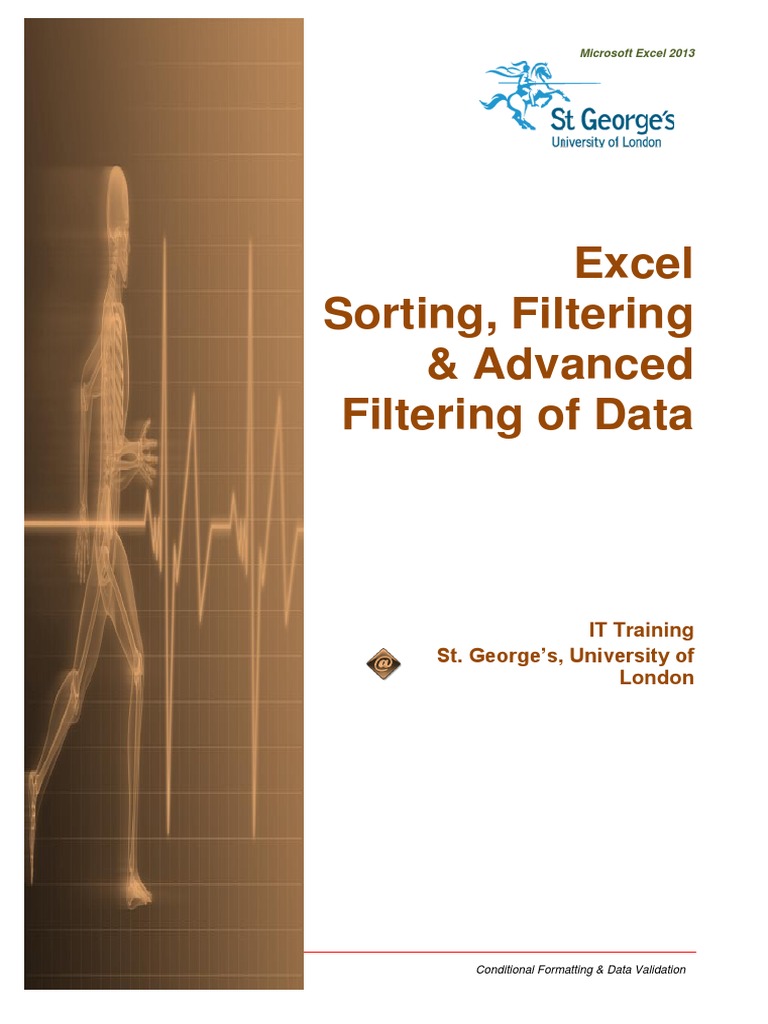 Excel Filtering and Advanced Filtering Manual | Download Free PDF ...