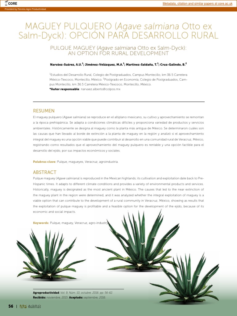 MAGUEY PULQUERO (Agave Salmiana Otto Ex Salm-Dyck) : Opción para Desarrollo Rural | PDF | México