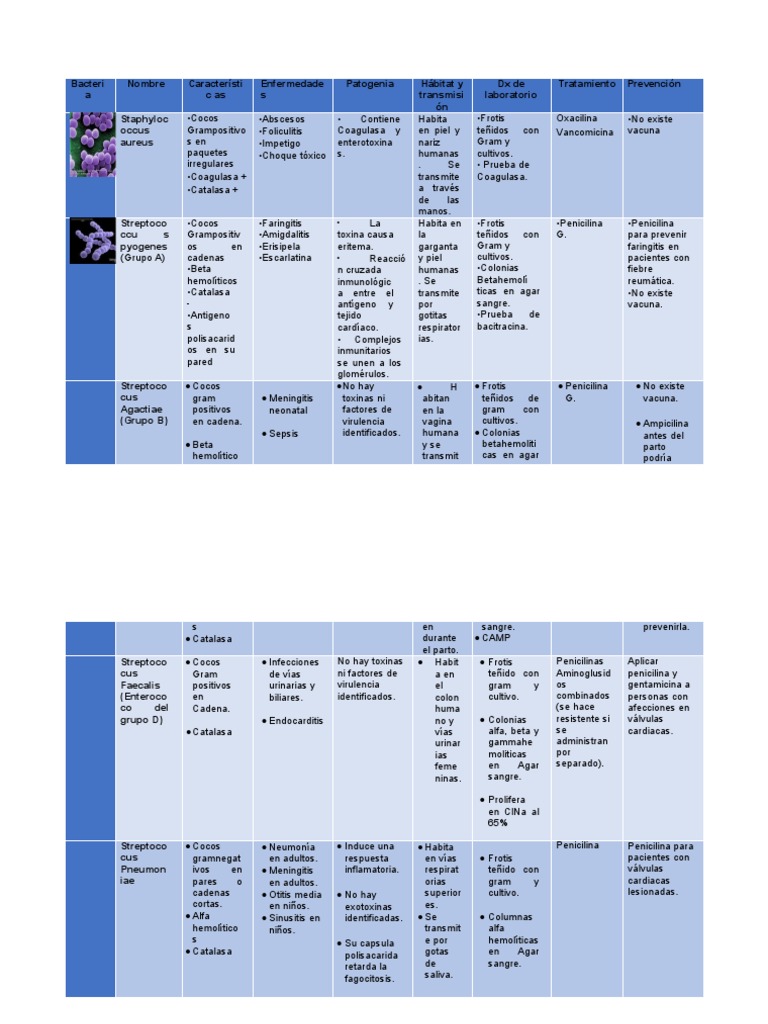 Tabla de Bacterias, Virus y Hongos | PDF | Virus | Herpes Simple