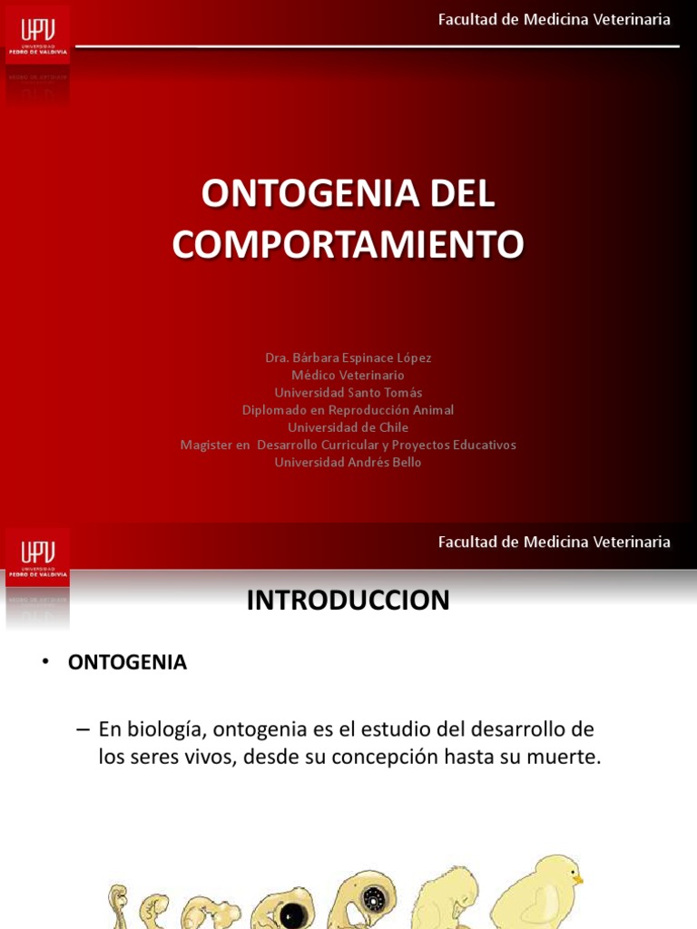 Clase - 7 Ontogenia | PDF | Aprendizaje | Evolución