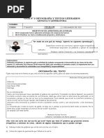 Observaciones Escritura | PDF | Caligrafía | Escritura