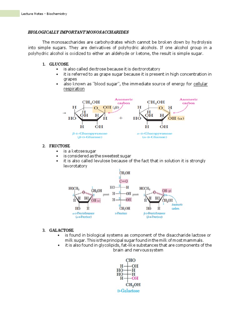 Biologically Importants of Carbohydrates Students Lecture Notes | PDF ...