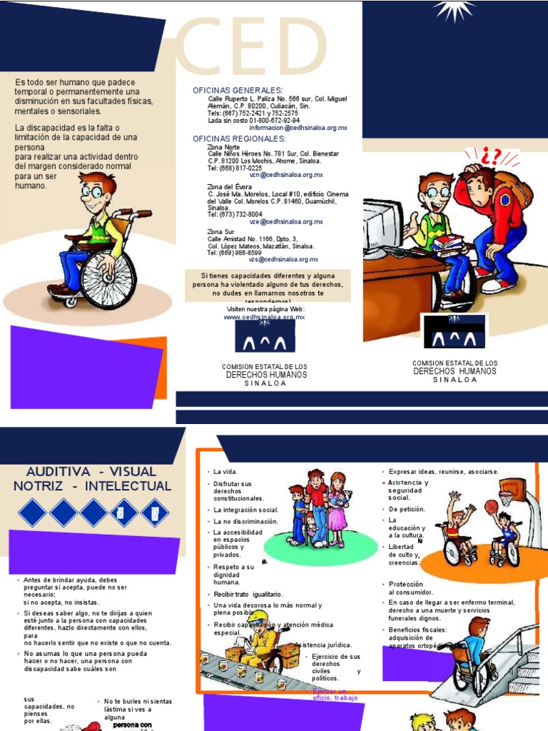 Derechos Humanos De Las Personas Con Discapacidad Pdf Invalidez 6853