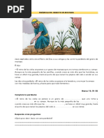 Martes 20 FICHA La Parábola El Grano de Mostaza | PDF | Jesús ...