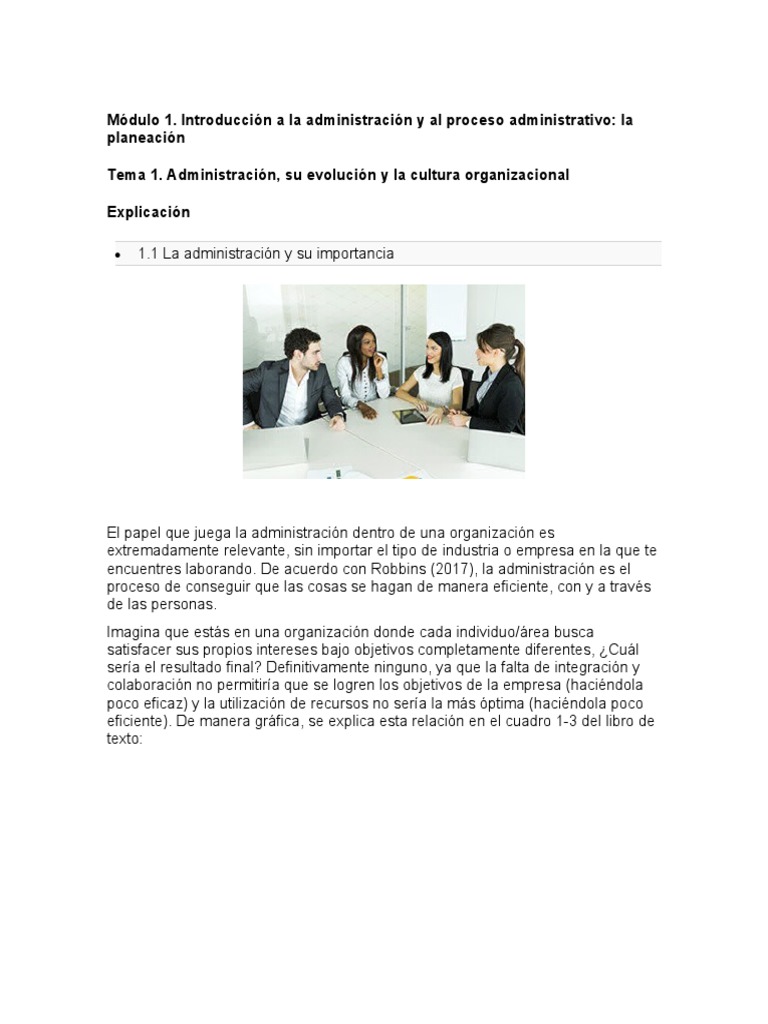 Módulo 1 Tema 1 y Tema 2 Fundamentos | PDF | Planificación | Business