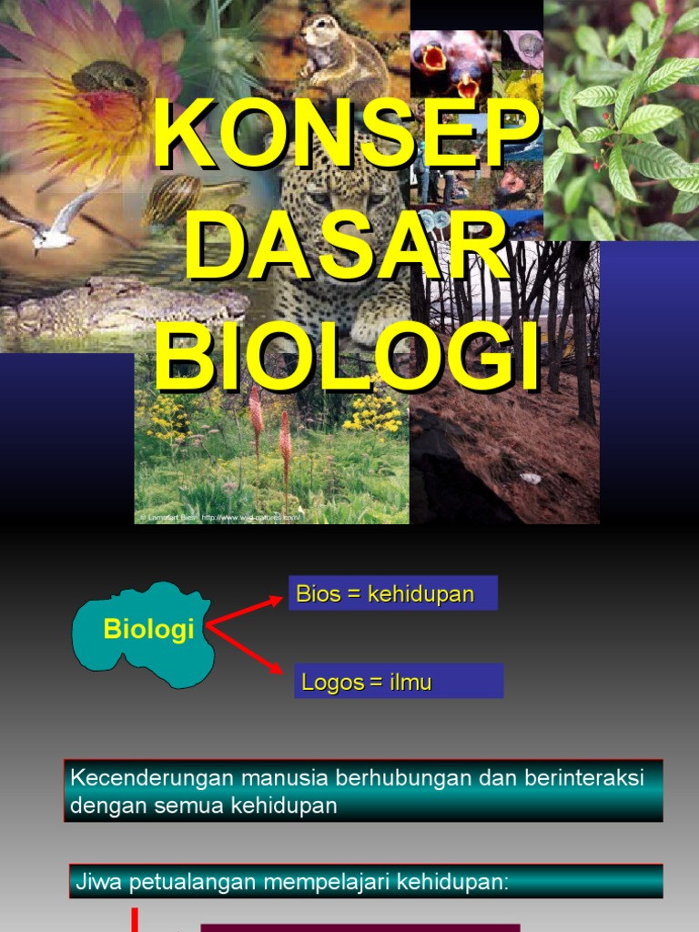 Bio 1 | PDF