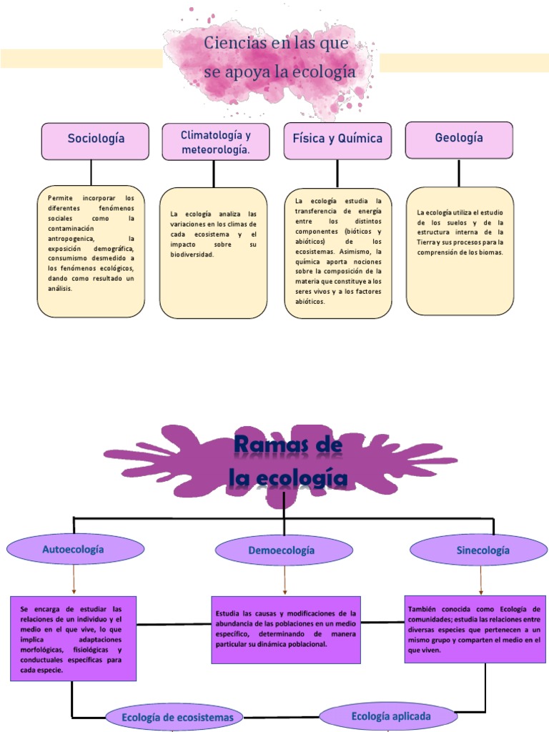 Mapa Conceptual de Las Ramas y Ciencias de La Ecologia | PDF