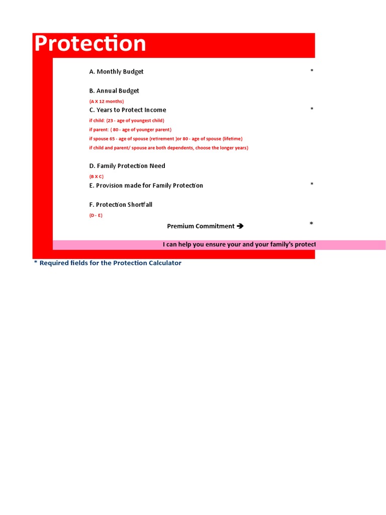 LSFP Excel Calculator | PDF | Wealth | Manila