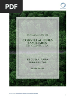 Manual Constelaciones Familiares - Fabiola Arenas Jiménez - Equilibrio ...